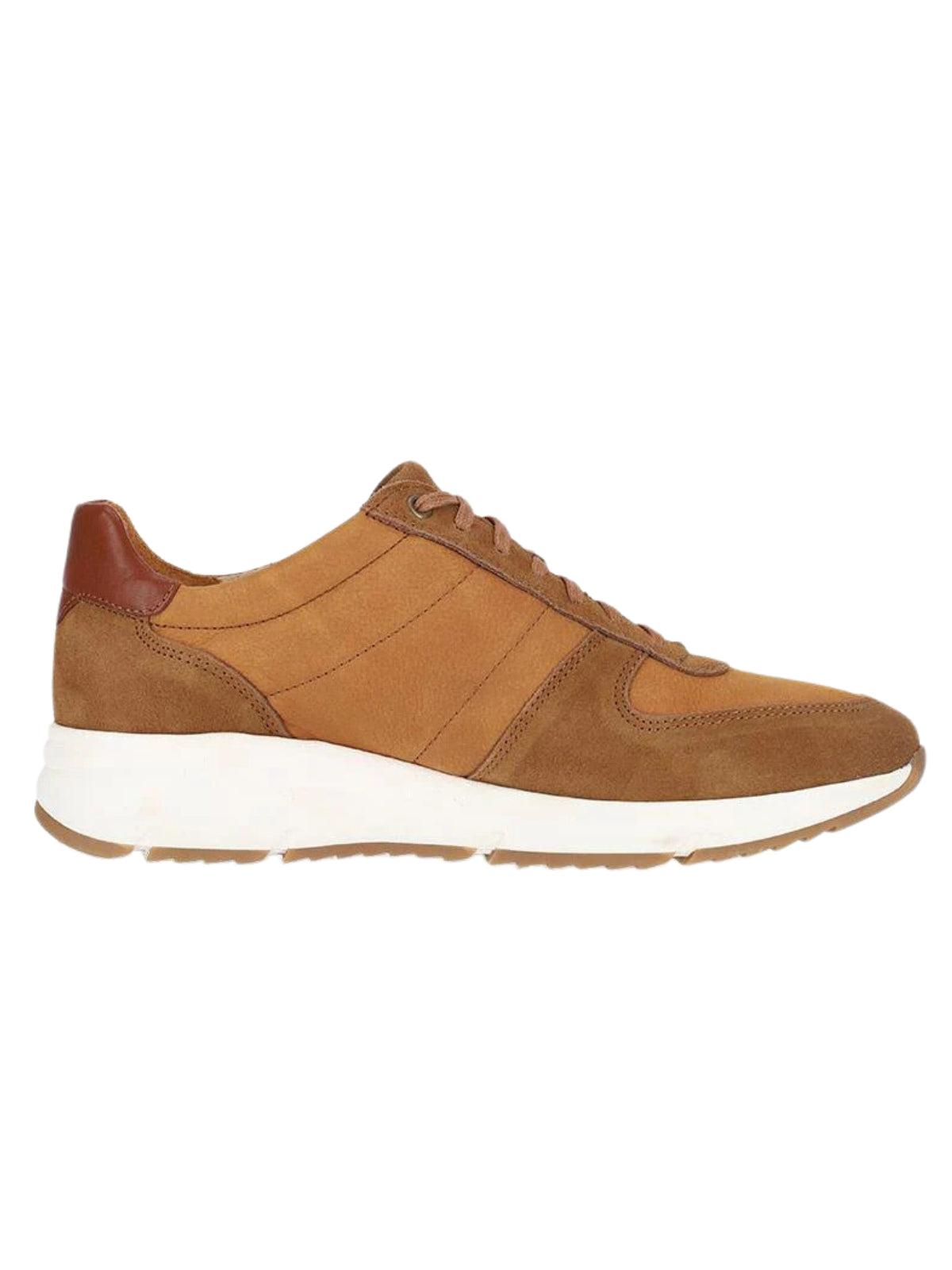 Rossimoda Sneaker Alvar Tan – Colt 45